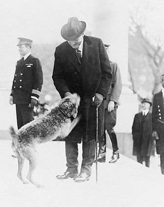 President Warren Harding & Dog 'Laddie Boy' Photo Print for Sale