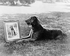 President Warren Harding's Dog 'Laddie Boy' Photo Print for Sale