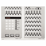 Avaya Receptionist Console