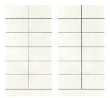 Avaya 4612 IP Telephone Labels (10 labels)