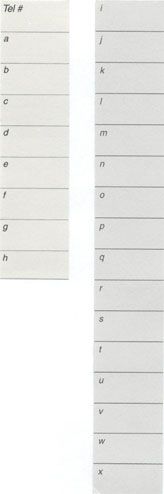 Avaya 6424D+M Digital Telephone Labels (10 labels)