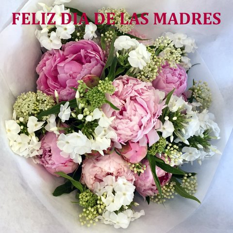 Dia De Las Madres Mexico