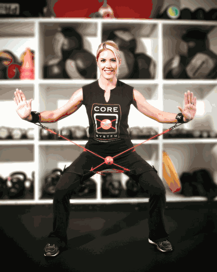 Core X System Basic Package Portable Fitness Workout DVD Total Body ...