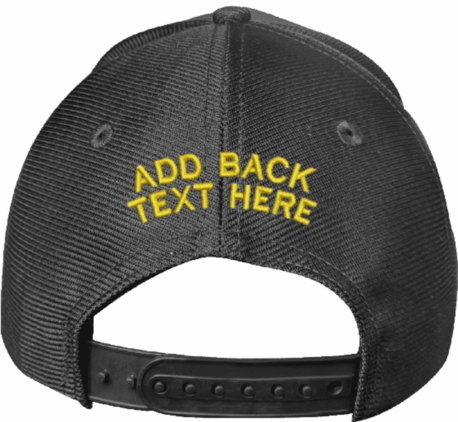 101st Airborne Vietnam Veteran with Ribbons Ball Cap