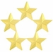 5 Star General Lapel Pin - Gold