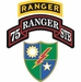75th Ranger Regiment Special Troops Battalion (STB) with Ranger Tab Decal