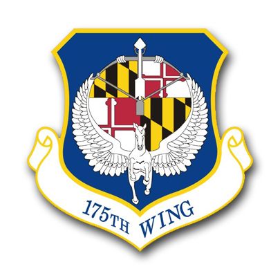 Air Force 175th Wing Vinyl Transfer Decal
