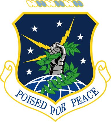 Air Force 91st Missile Group Vinyl Transfer Decal