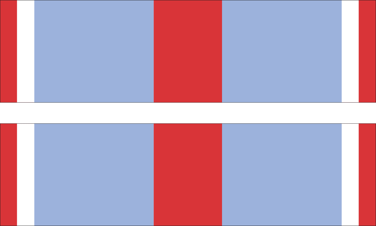 Air Force Recognition Ribbon Decal