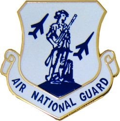 Air National Guard Lapel Pin