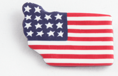 Americana Washington State Pin