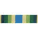 Armed Forces Service Medal Ribbon