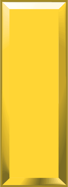 Army 2nd Lieutenant Rank Vinyl Transfer Decal