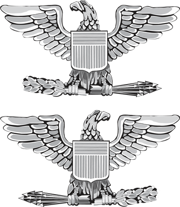 Army Colonel Rank Vinyl Sticker