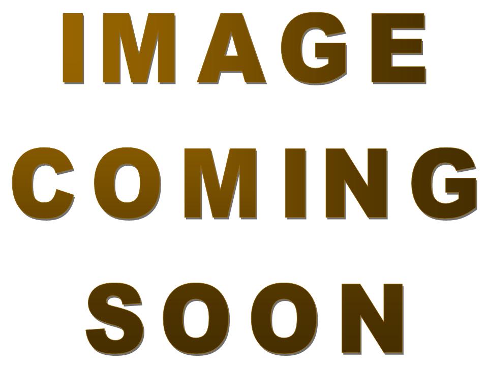 Army Lieutenant General (O-9) 2" x 2" Helmet Cover Patch (Pair)