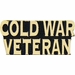 Cold War Veteran Lapel Pin