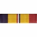 Combat Action Ribbon