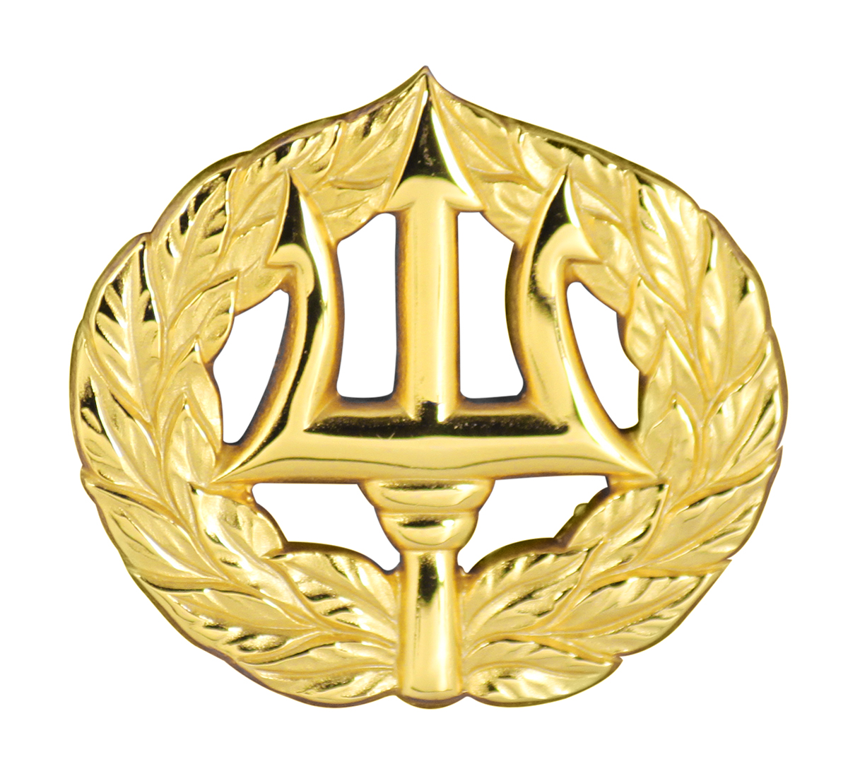Command Ashore Badge