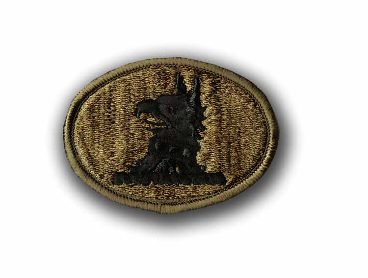 DELAWARE NATIONAL GUARD SUBDUED 2 1/8"h x 3"w MILITARY PATCH