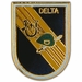 Delta Force Lapel Pin
