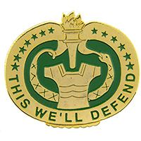 Drill Instructor Sergeant This We'll Defend Pin 1-1/4"