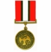 Multinational Force and Observers MFO Medal - Full Size