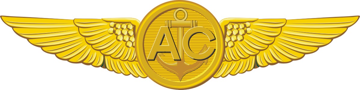 Navy Aircrew Wings Decal