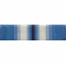 Navy Arctic Service Ribbon