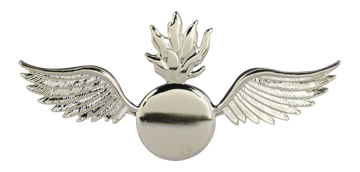 Navy Aviation Ordnanceman ( AO ) Ball Cap Pin