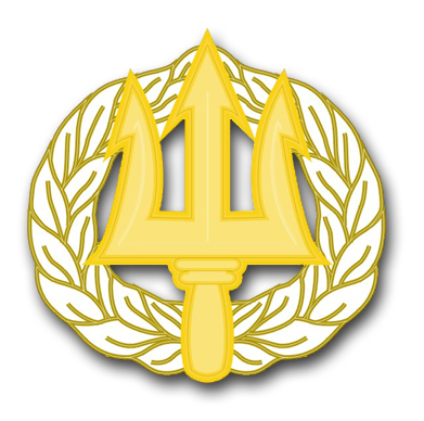 Navy Command Ashore Vinyl Transfer Decal