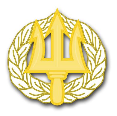 Navy Command Ashore Vinyl Transfer Decal