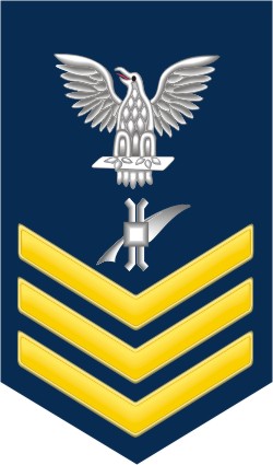 Navy Gold E-6 Legalman LN Decal Sticker