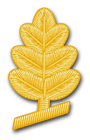 Navy Medical Service Corps Vinyl Transfer Decal