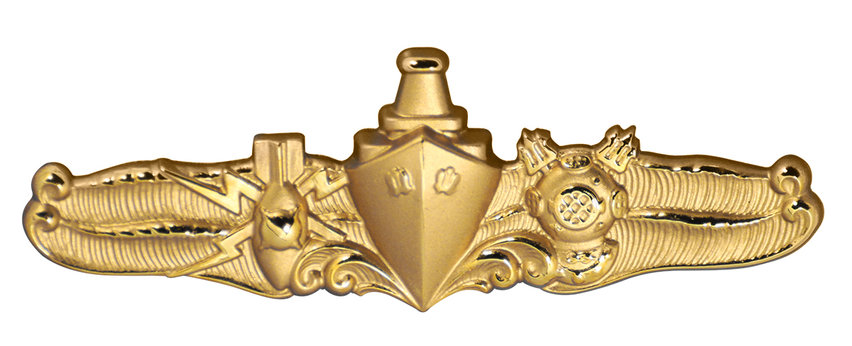 Surface Warfare Officer Pin