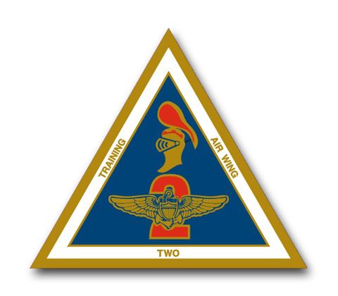 Navy Training Air Wing Two Vinyl Transfer Decal