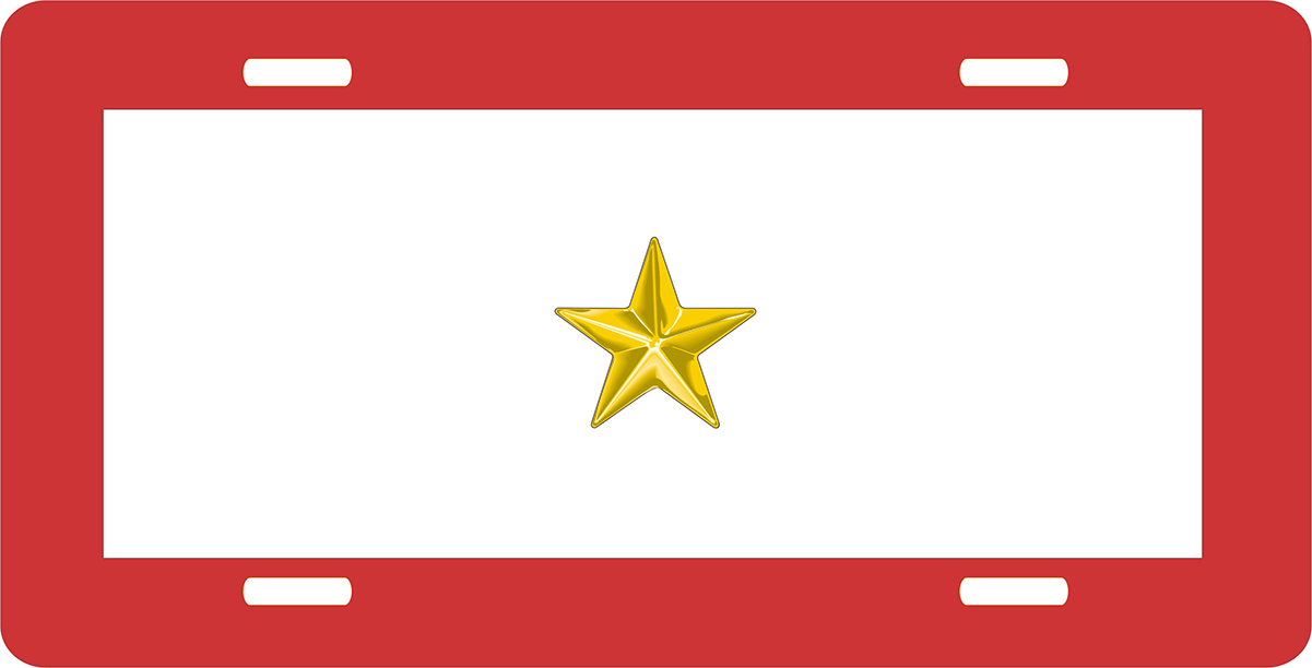 One Gold Star License Plate