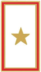 One Gold Star Service Banner Lapel Pin