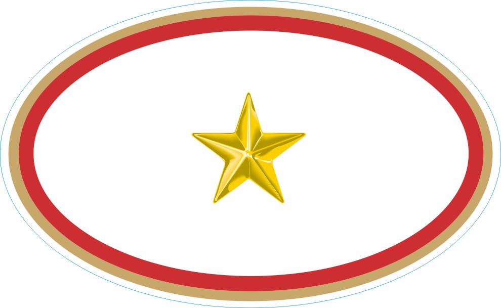 One Gold Star Service Banner Oval Decal