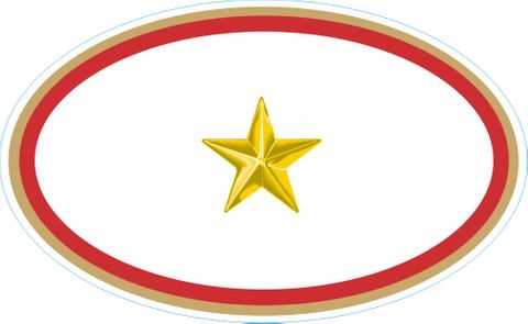 One Gold Star Service Banner Oval Decal