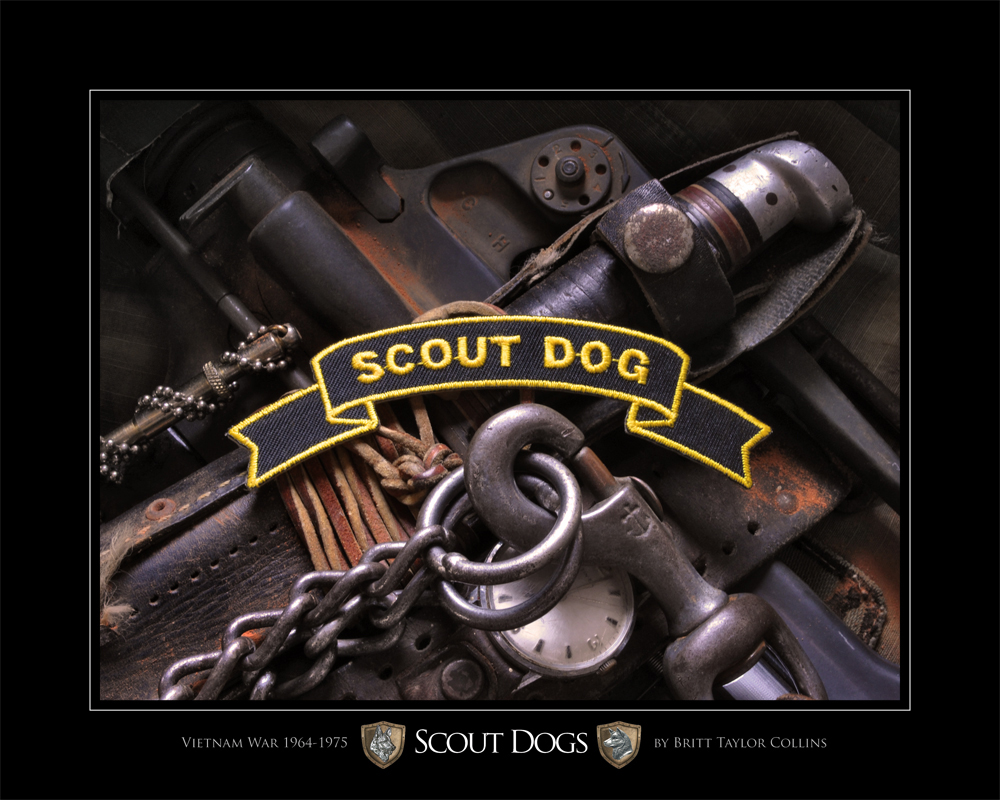 Scout Dogs