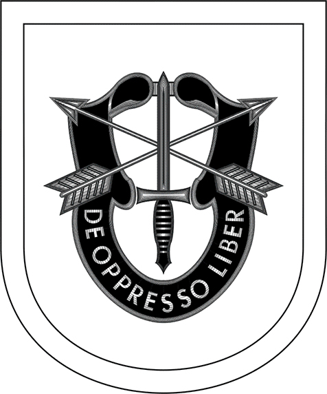 Special Forces Training Group Flash
