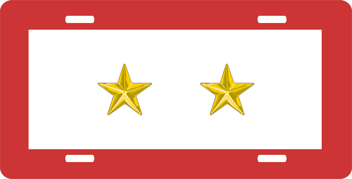 Two Gold Star License Plate