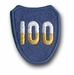 U.S. Army 100th Training Division 2" Military Patch
