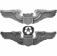 Military Badges Rank Insignia