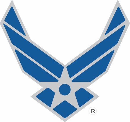 U.S. Air Force HAP Wings Vinyl Decal