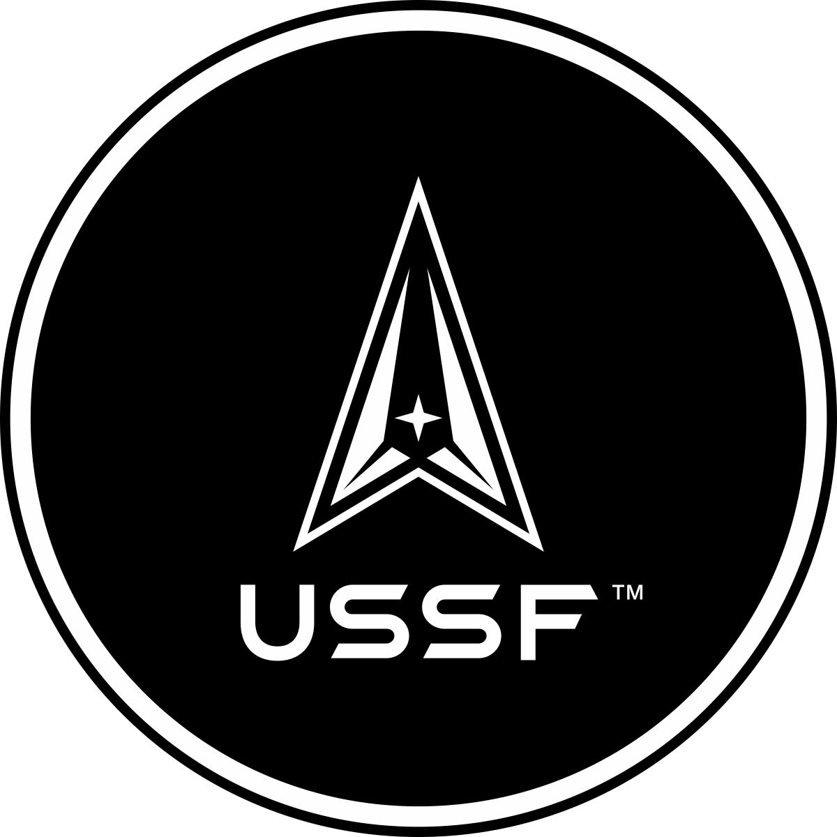 United States Space Force Vinyl Decal