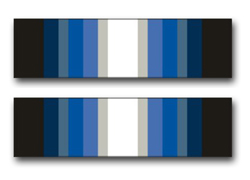 USAF Antarctica Service Ribbon Decal