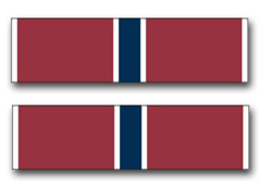 USAF Bronze Star Ribbon Decal