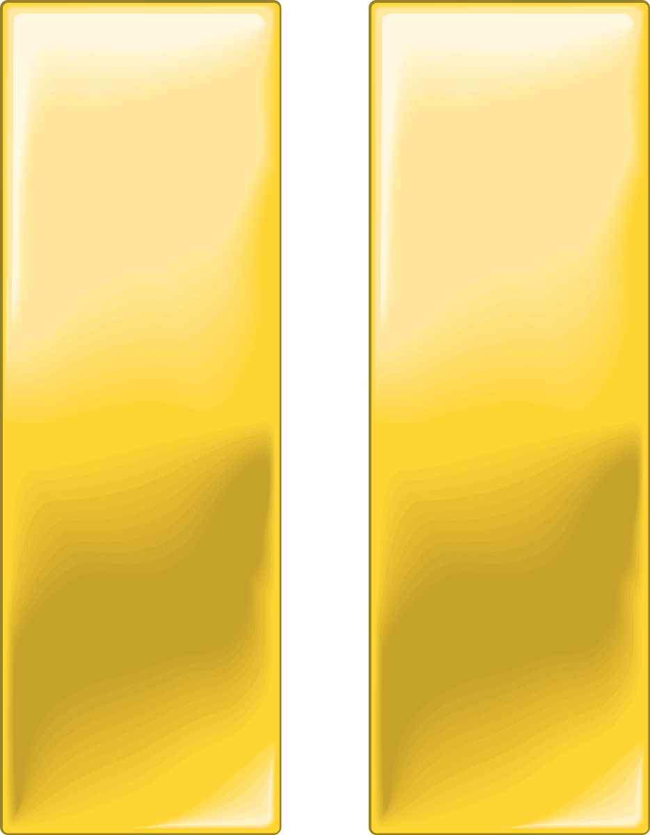 U.S.M.C. O-1 SECOND LIEUTENANT OFFICER'S RANK DECAL