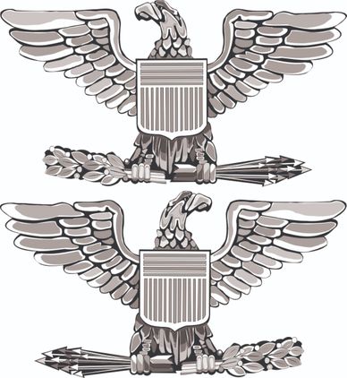 U.S.M.C. O-6 'Bird' Colonel Officers Rank Vinyl Transfer Decal Pair